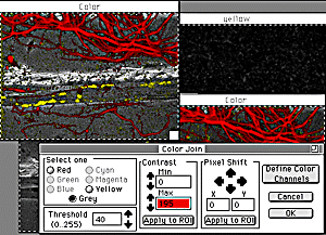 IPLab | 株式会社ソリューションシステムズ
