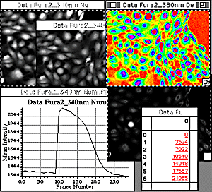 IPLab | 株式会社ソリューションシステムズ